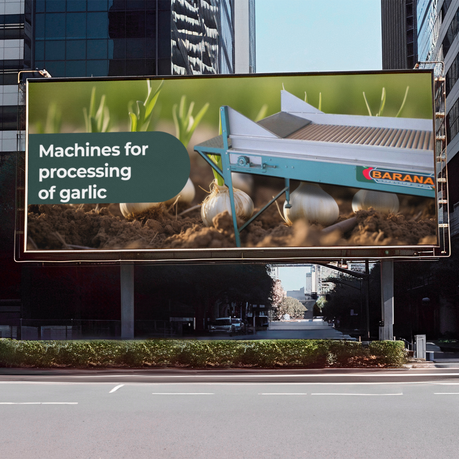 Garlic processing machines