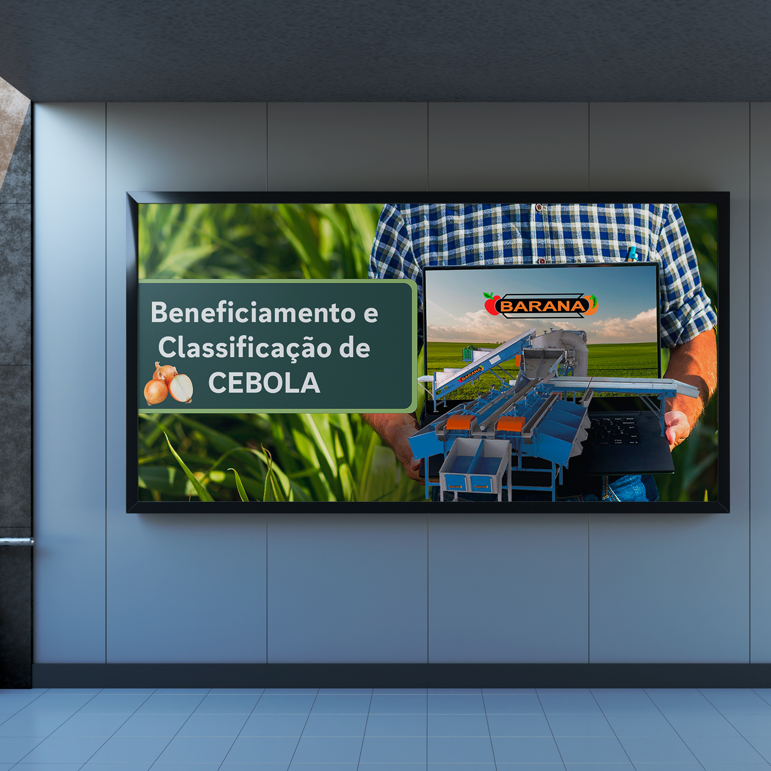 Transformando a Indústria com as Máquinas de Beneficiamento de Cebola ...