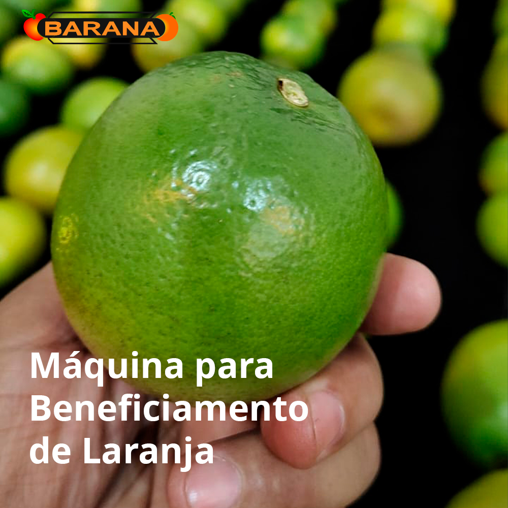Máquina de Beneficiar Laranjas Barana: A Evolução Perfeita para a Sua ...