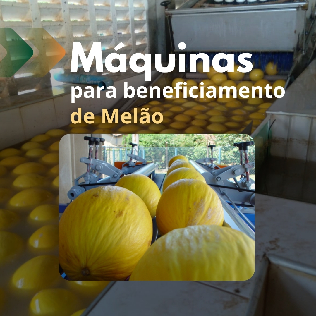 Máquina de Beneficiar Melões Barana